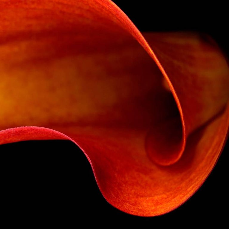 Doris Mitsch - Darkness R For Sale at 1stDibs