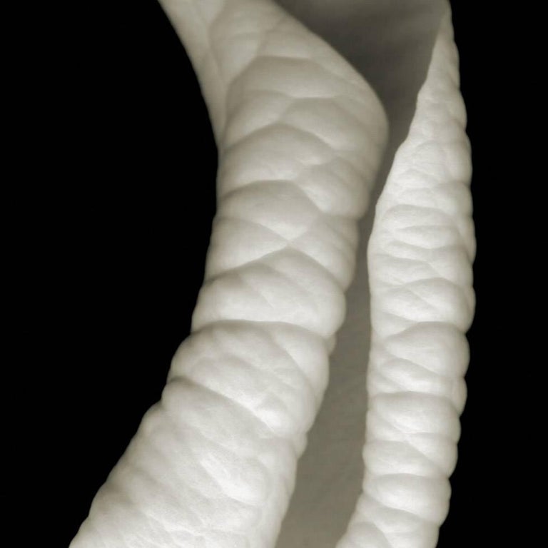 Doris Mitsch - Datura C For Sale at 1stDibs