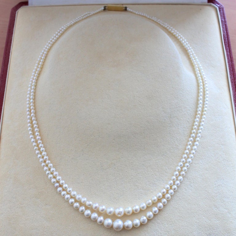 Double Row Natural Pearl Strands Necklace with Royal Provenance at 1stDibs