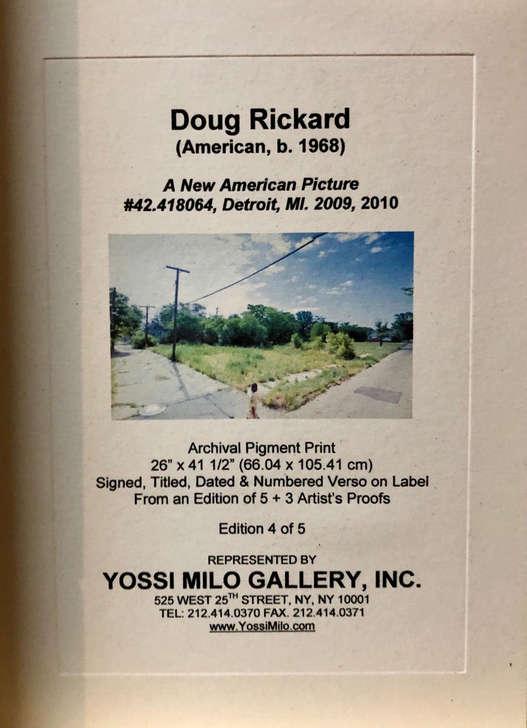 Doug Rickard - Large Scale Photograph Archival Pigment Print, Detroit ...