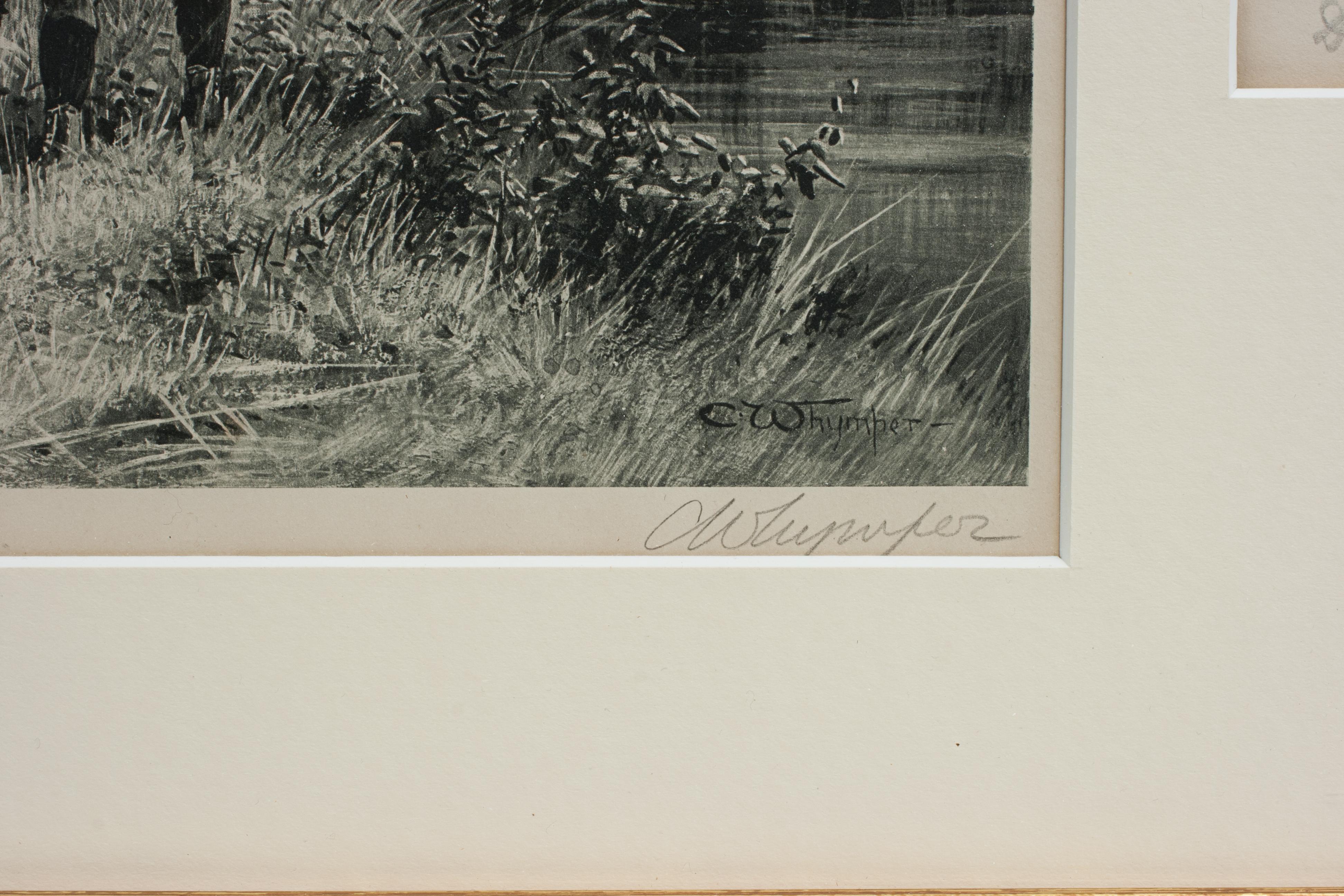 Tree Grouse, Partridge Shooting Engravings By Douglas Adams ...