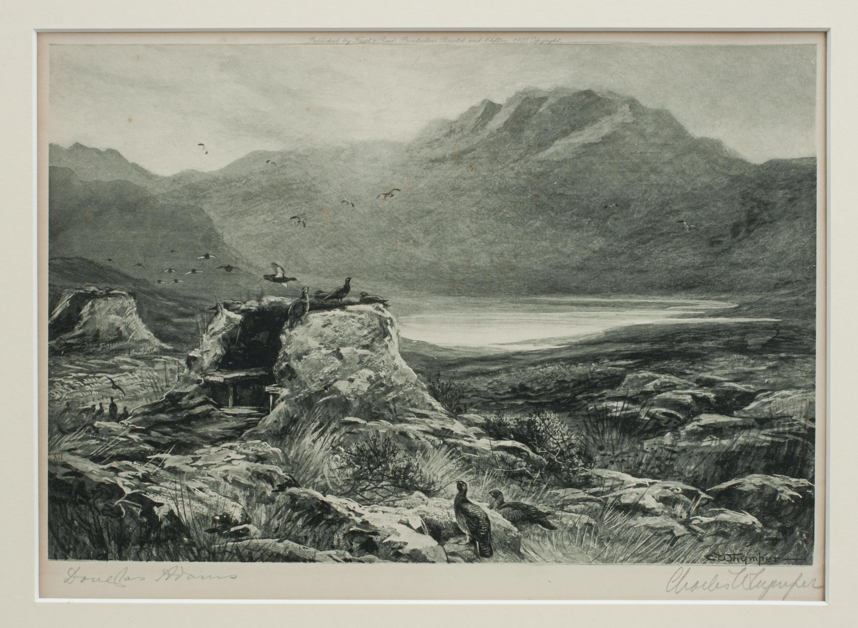 Tree Grouse, Partridge Shooting Engravings By Douglas Adams ...