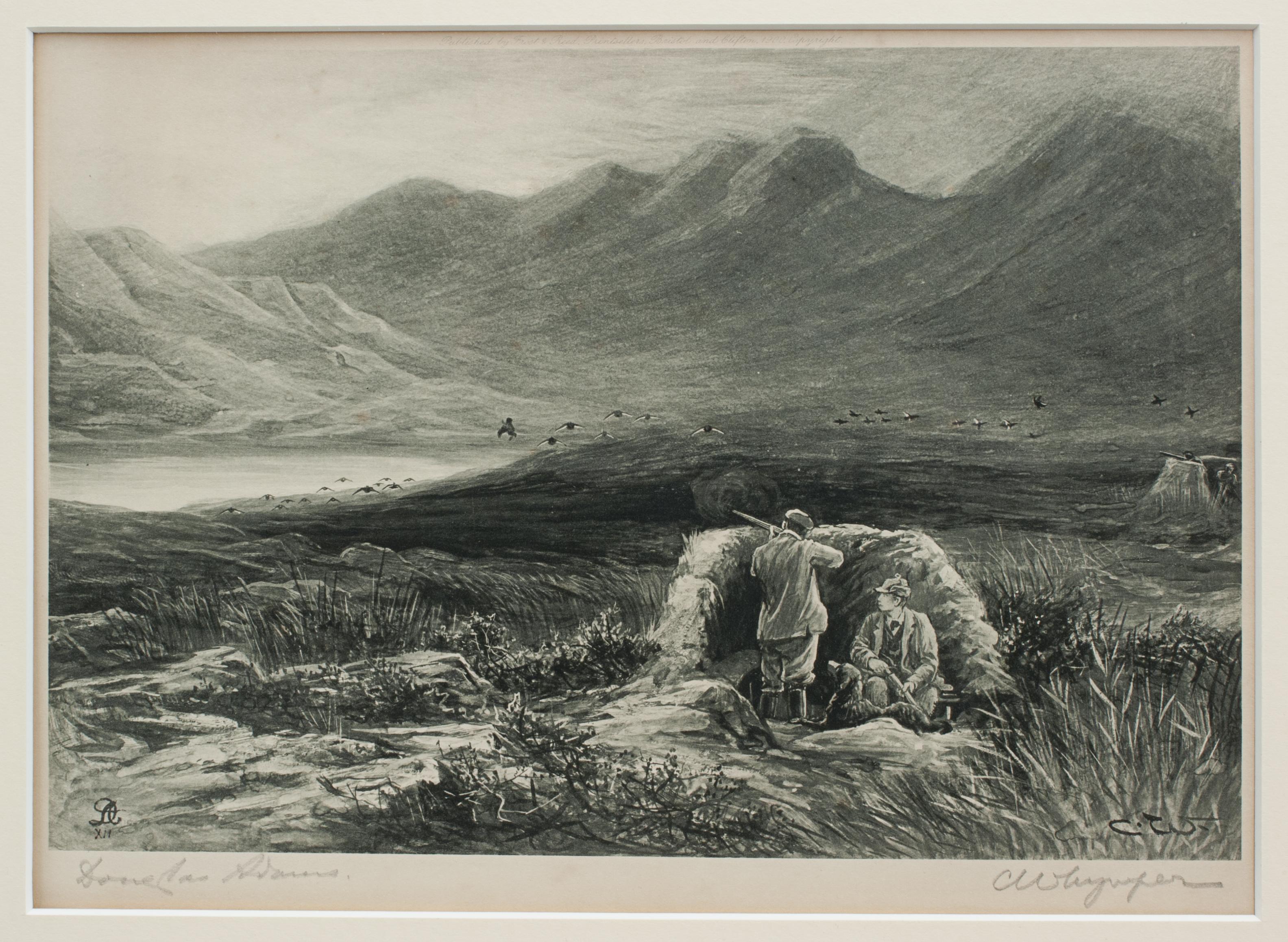 Tree Grouse, Partridge Shooting Engravings By Douglas Adams ...