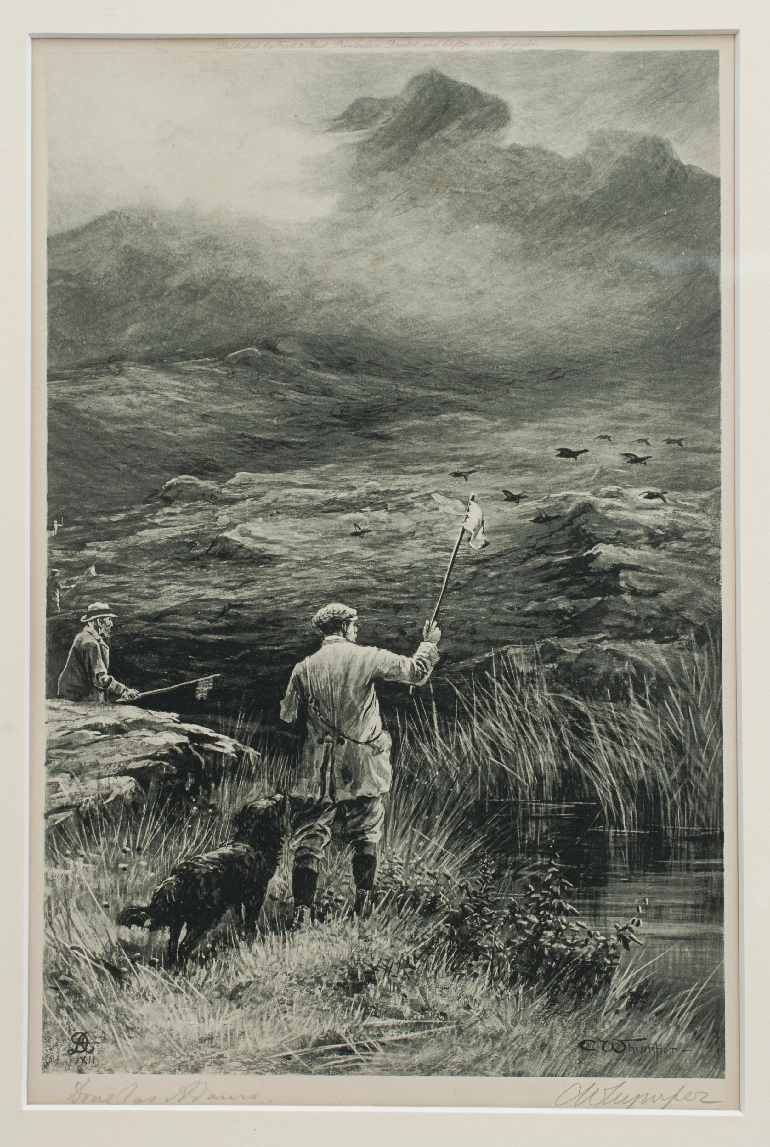 Tree Grouse, Partridge Shooting Engravings By Douglas Adams ...