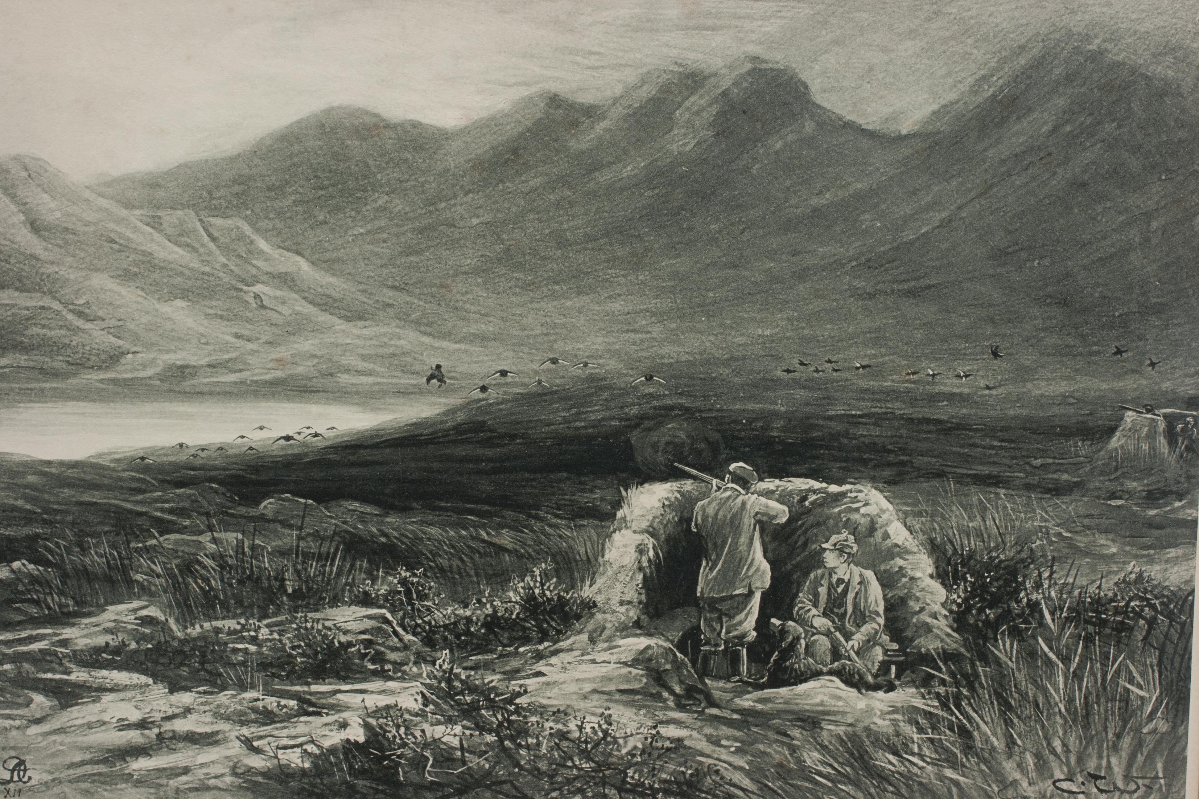 Tree Grouse, Partridge Shooting Engravings By Douglas Adams ...