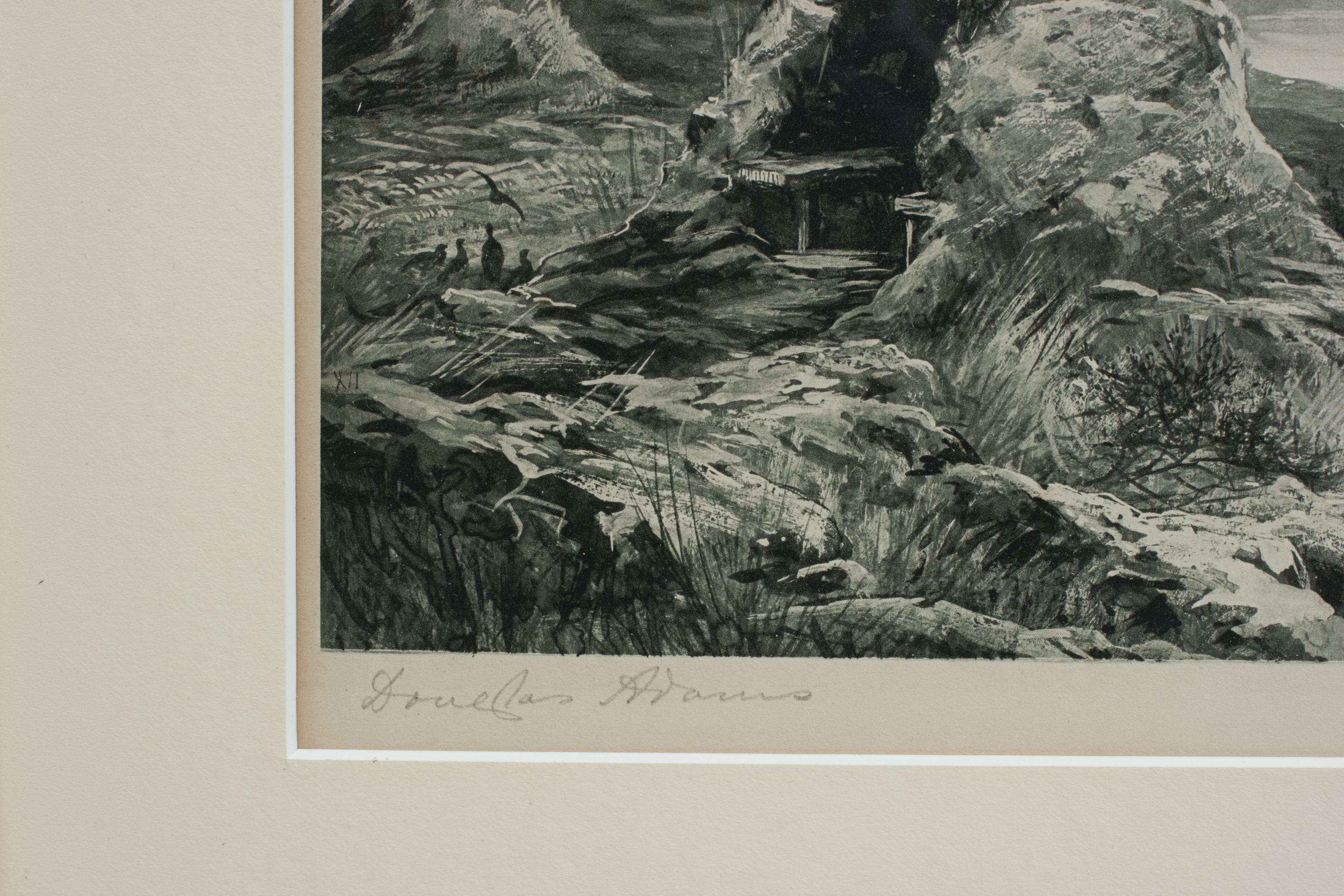 Tree Grouse, Partridge Shooting Engravings By Douglas Adams ...