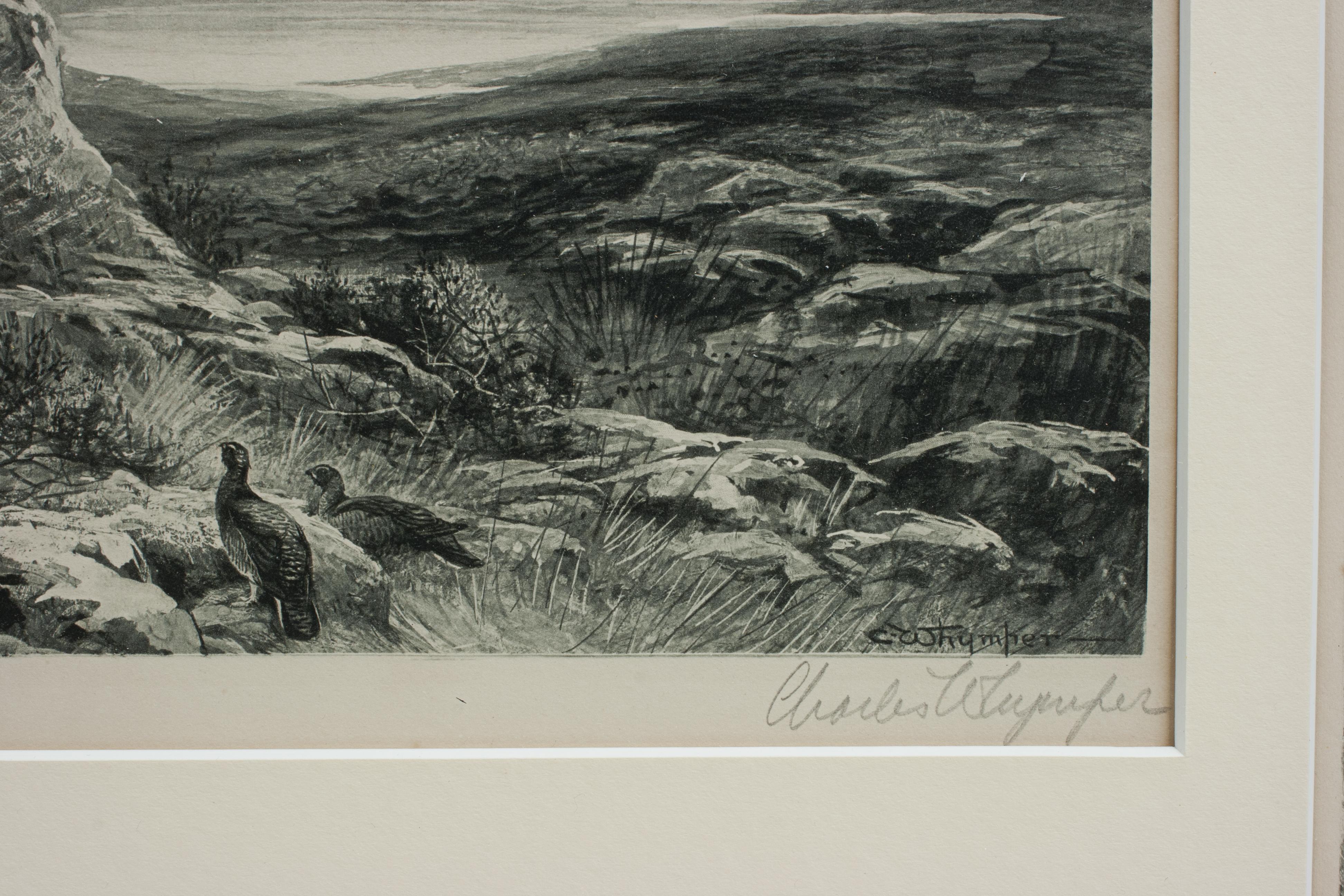 Tree Grouse, Partridge Shooting Engravings By Douglas Adams ...