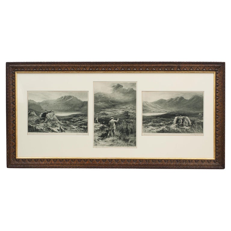 Tree Grouse, Partridge Shooting Engravings By Douglas Adams ...