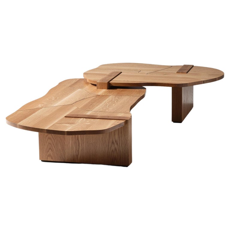 Douglas Fanning, Rubble Outcrop V, Coffee Table in Bronze, United ...