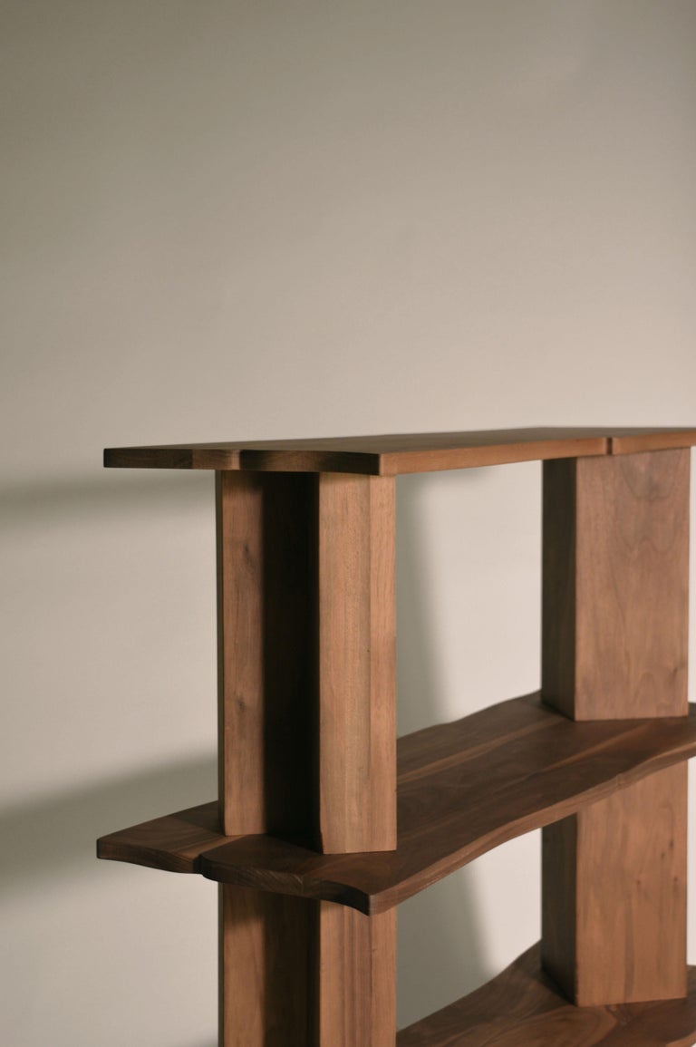 Dragon Shelf by Daniel Nikolovski For Sale at 1stDibs