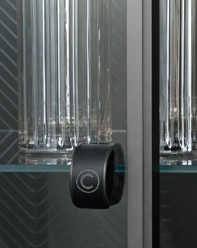 D627 Dragonfly Showcase For Sale at 1stDibs