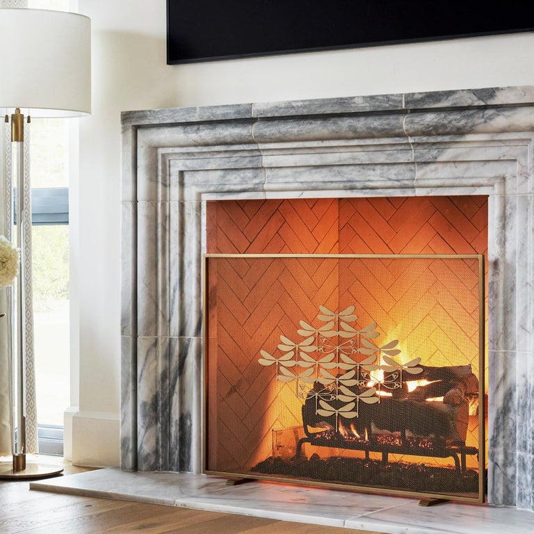 Dragonfly Diamond Fireplace Screen For Sale at 1stDibs