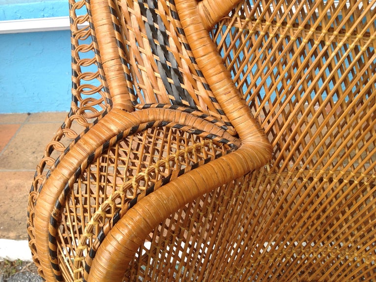 Dramatic Peacock Chair at 1stDibs