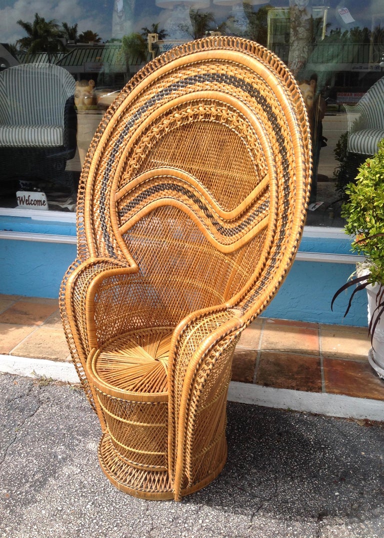 Dramatic Peacock Chair at 1stDibs