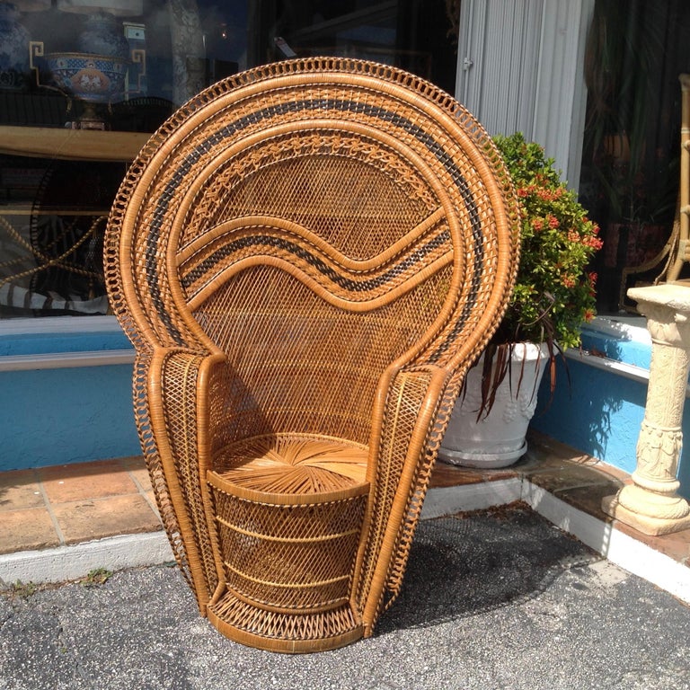 Dramatic Peacock Chair at 1stDibs