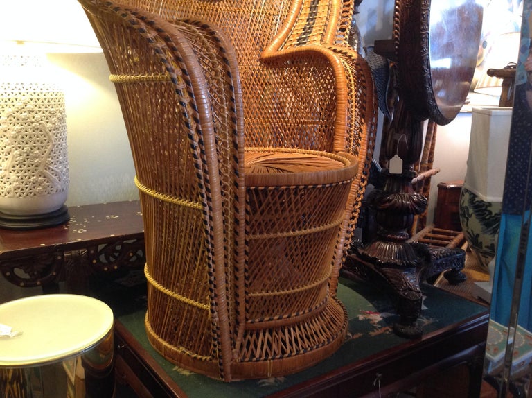 Dramatic Peacock Chair at 1stDibs