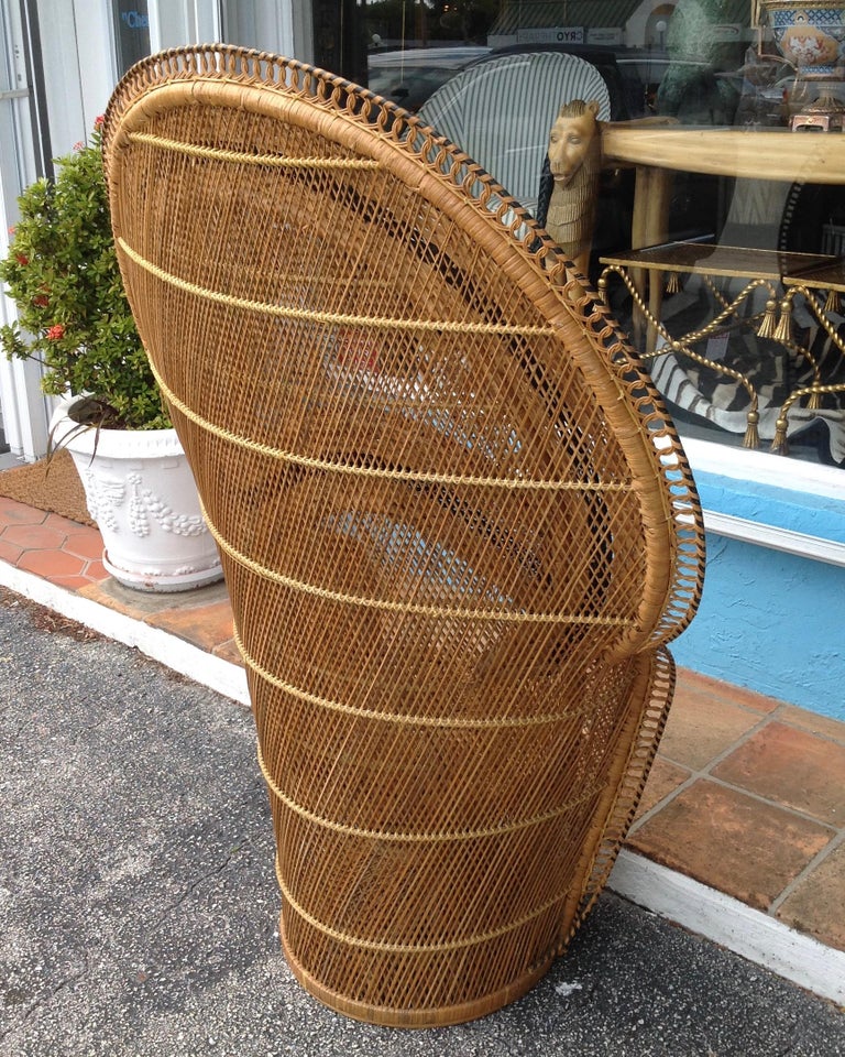 Dramatic Peacock Chair at 1stDibs