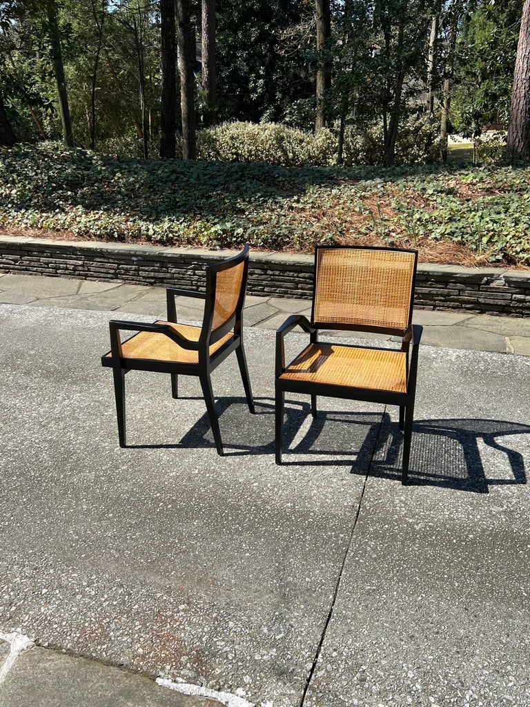 Dramatic Set of 20 Sophisticated Black Lacquer Cane Arm Chairs by ...