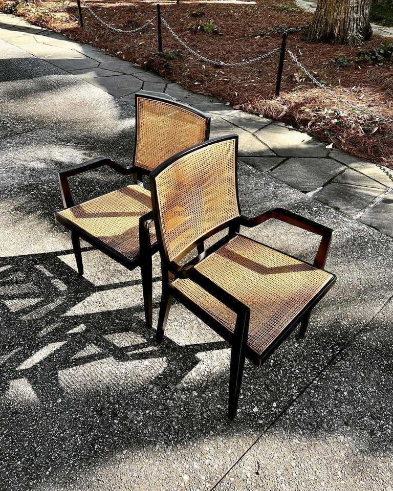 Dramatic Set of 20 Sophisticated Black Lacquer Cane Arm Chairs by ...