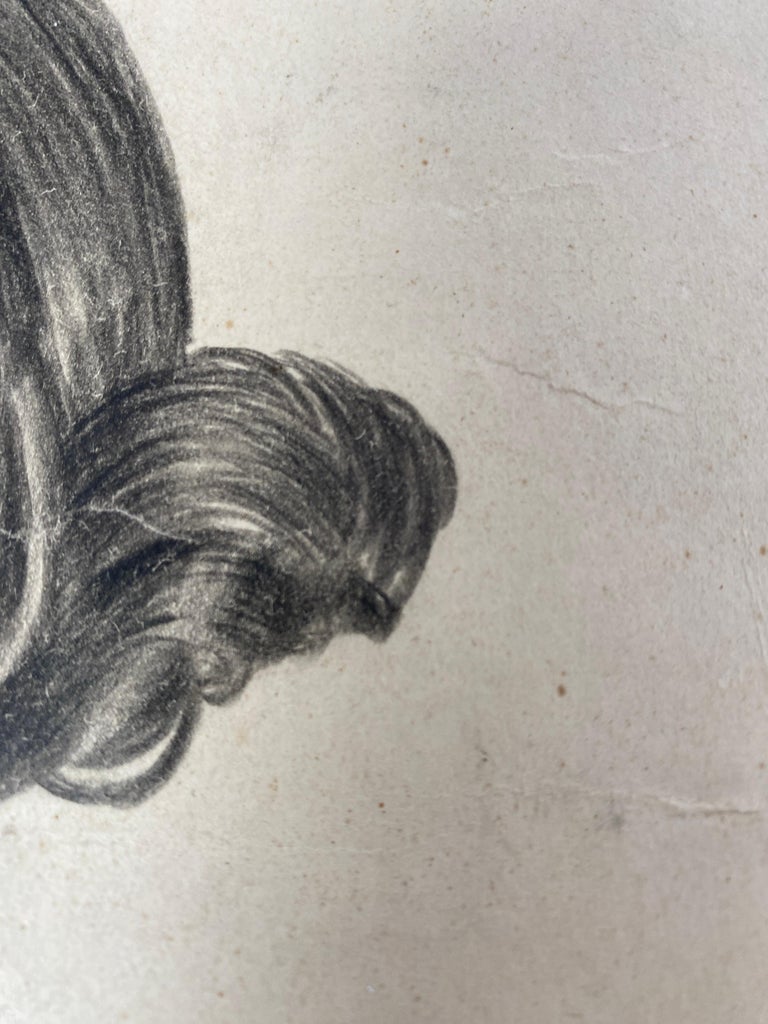 Drawing Original, of a Young Girl, England 19th Century For Sale at 1stDibs
