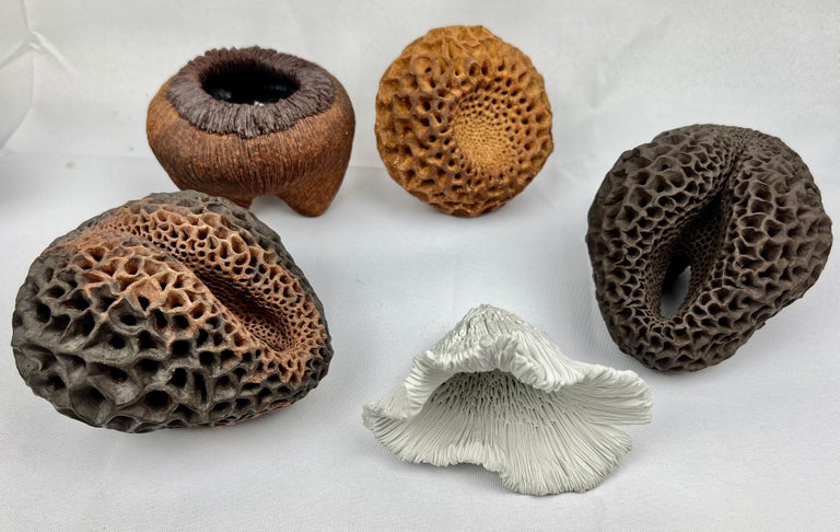 Dream like Sea Forms in Clay-Created by a Delicate Hand For Sale at 1stDibs