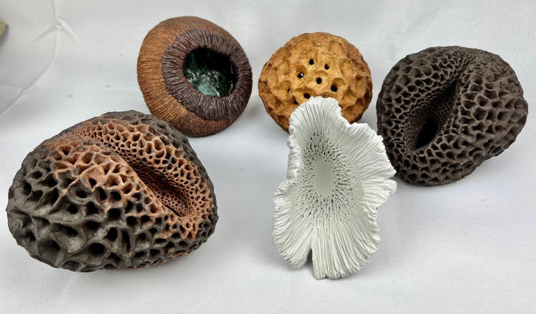 Dream like Sea Forms in Clay-Created by a Delicate Hand For Sale at 1stDibs