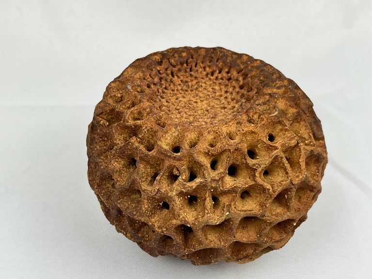 Dream like Sea Forms in Clay-Created by a Delicate Hand For Sale at 1stDibs