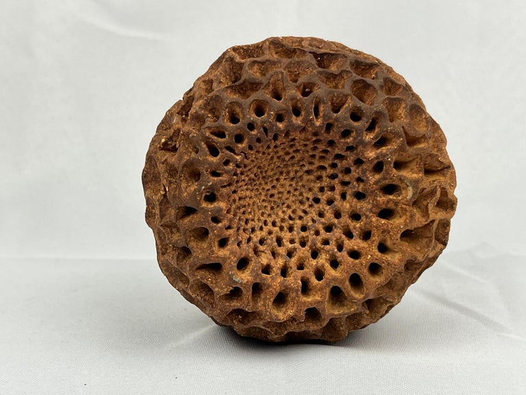 Dream like Sea Forms in Clay-Created by a Delicate Hand For Sale at 1stDibs