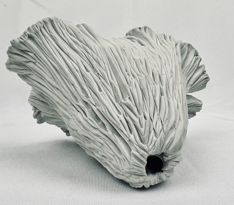 Dream like Sea Forms in Porcelain and Clay-Created by Hand For Sale at ...