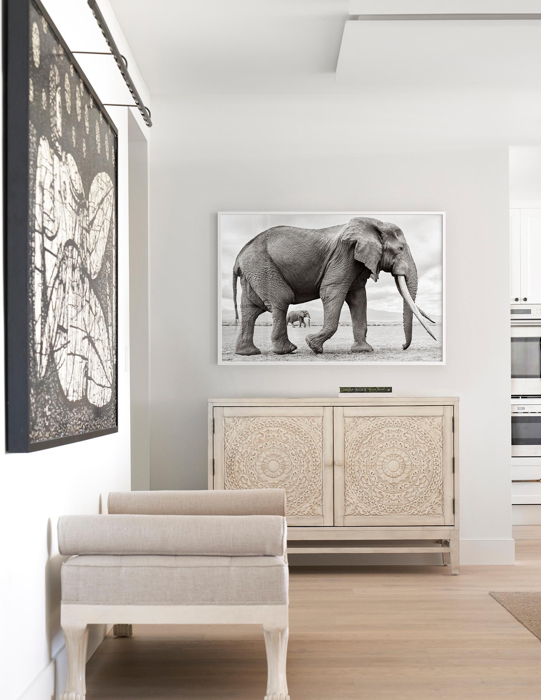 Drew Doggett - Family of Elephants in Africa, Classic, Iconic, Black ...
