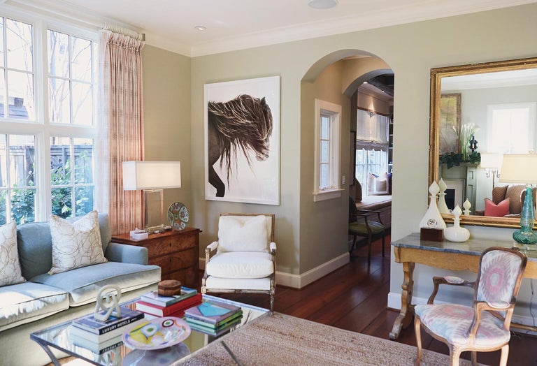 Drew Doggett - Two Wild and Famous Horses on Sable Island, Black and ...