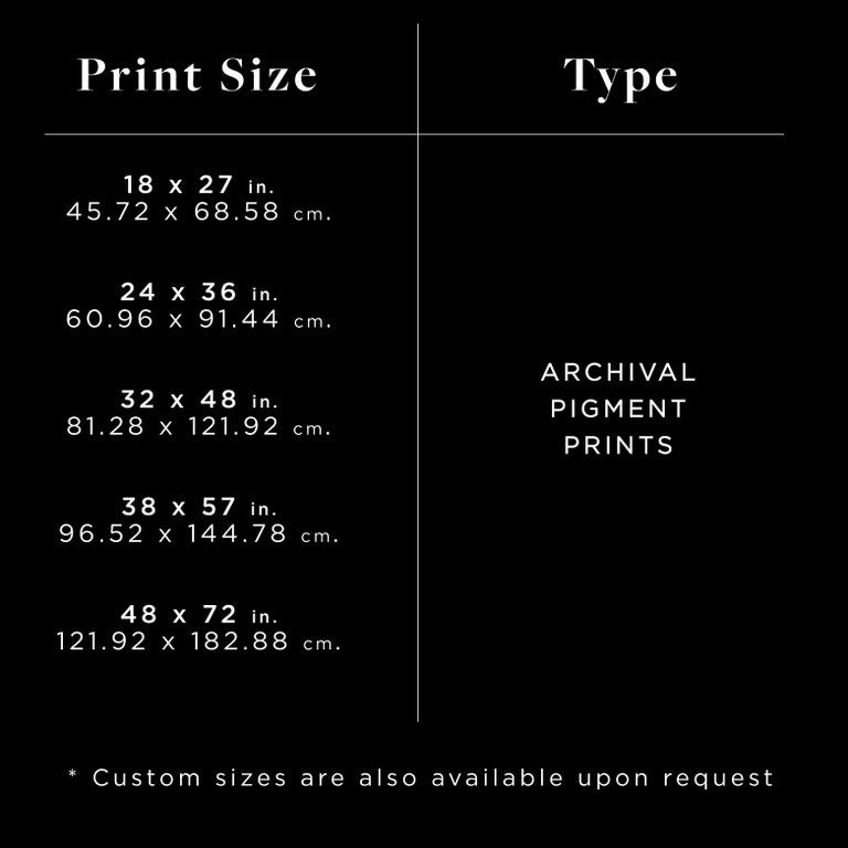 Drew Doggett - Two Wild and Famous Horses on Sable Island, Black and ...