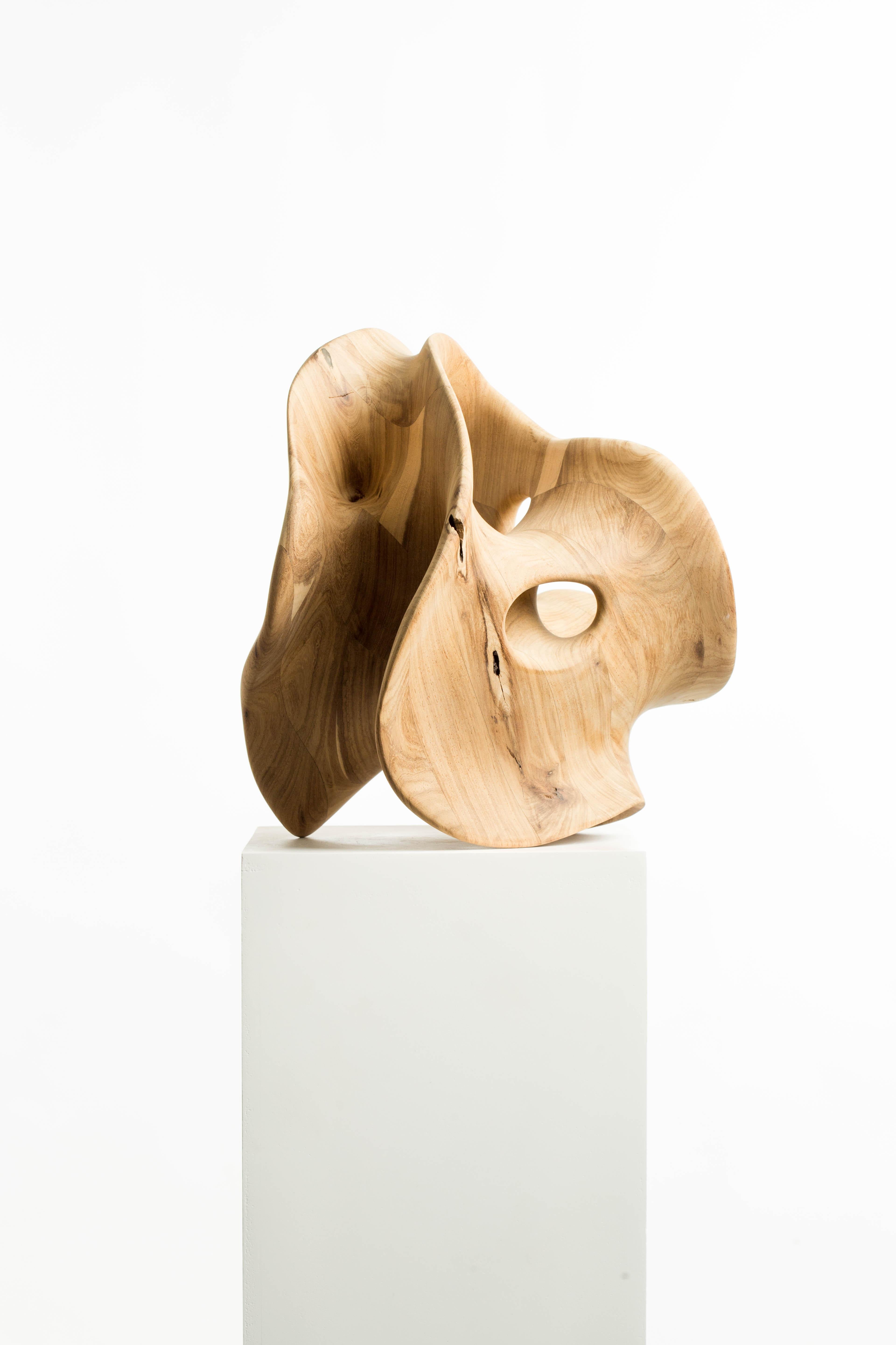 Driaan Claassen - Raw, Wood, Sphere, Abstract, Contemporary, Modern ...