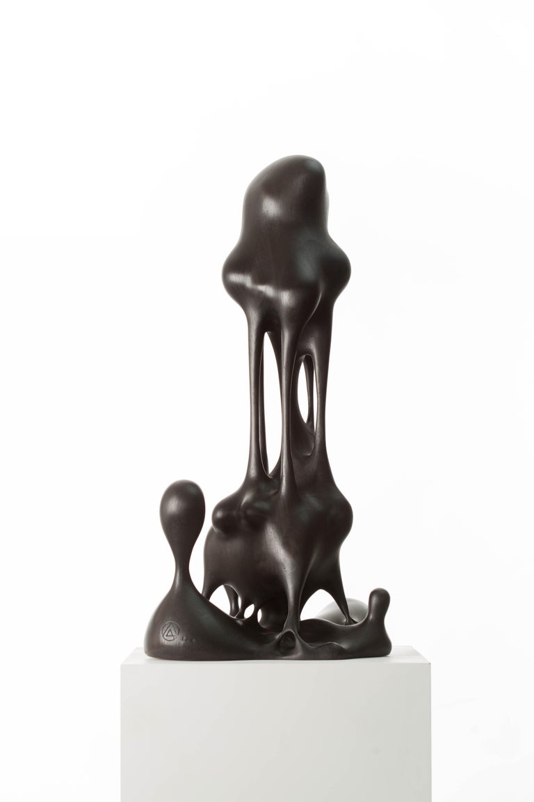 Driaan Claassen - Black, Stained, Wood, Sticky, Art, Modern, Sculpture ...