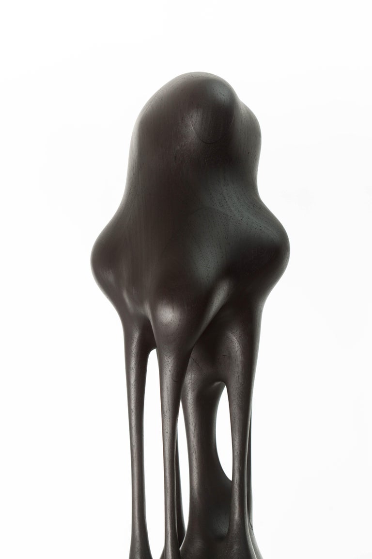 Driaan Claassen - Black, Stained, Wood, Sticky, Art, Modern, Sculpture ...