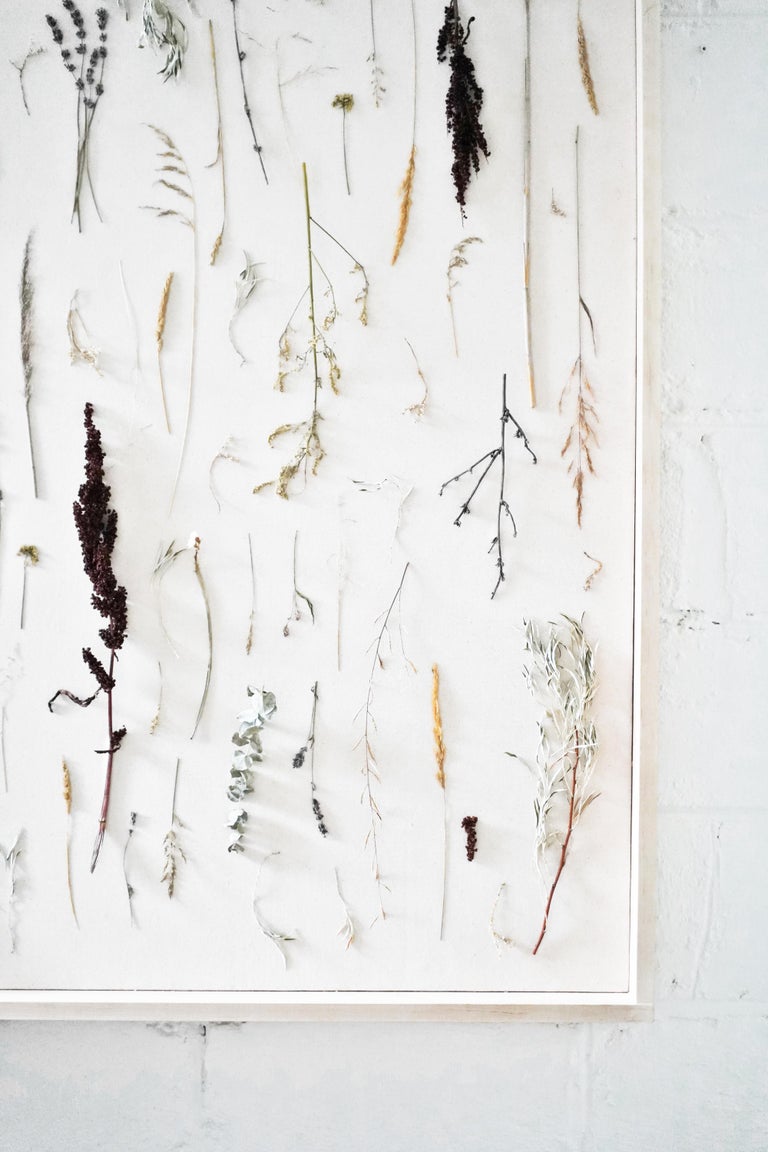 Dried Flora Composition, Grid and Natural Composition For Sale at 1stDibs