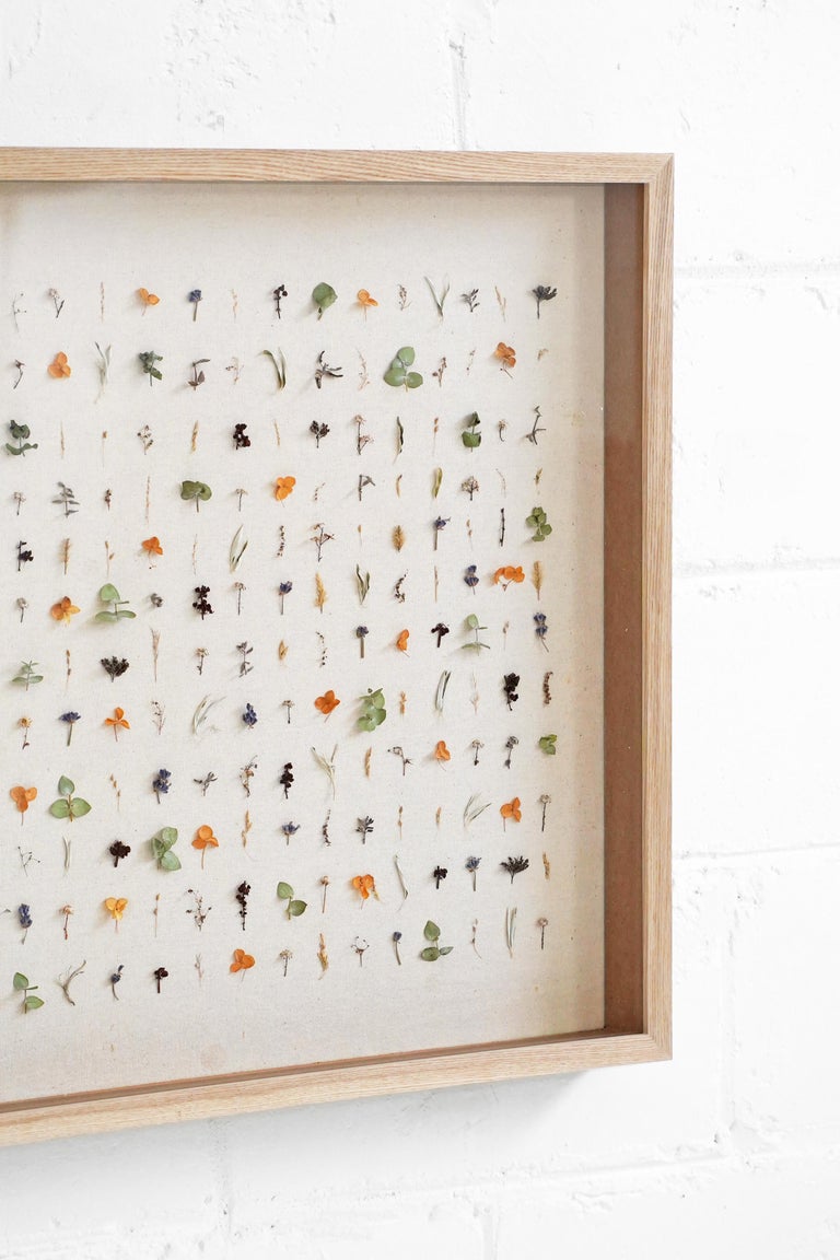 Dried Flora Composition, Grid and Natural Composition For Sale at 1stDibs