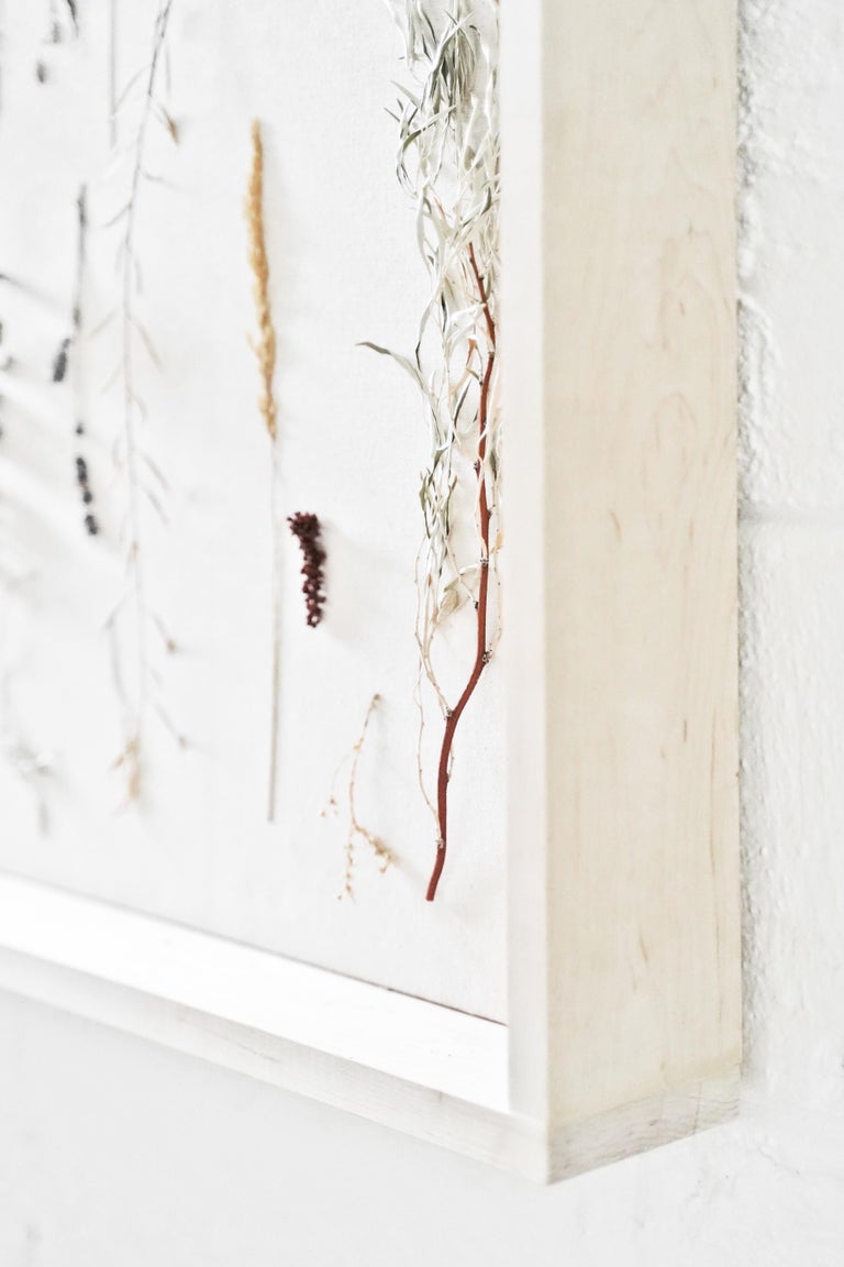 Dried Flora Composition, Grid and Natural Composition For Sale at 1stDibs