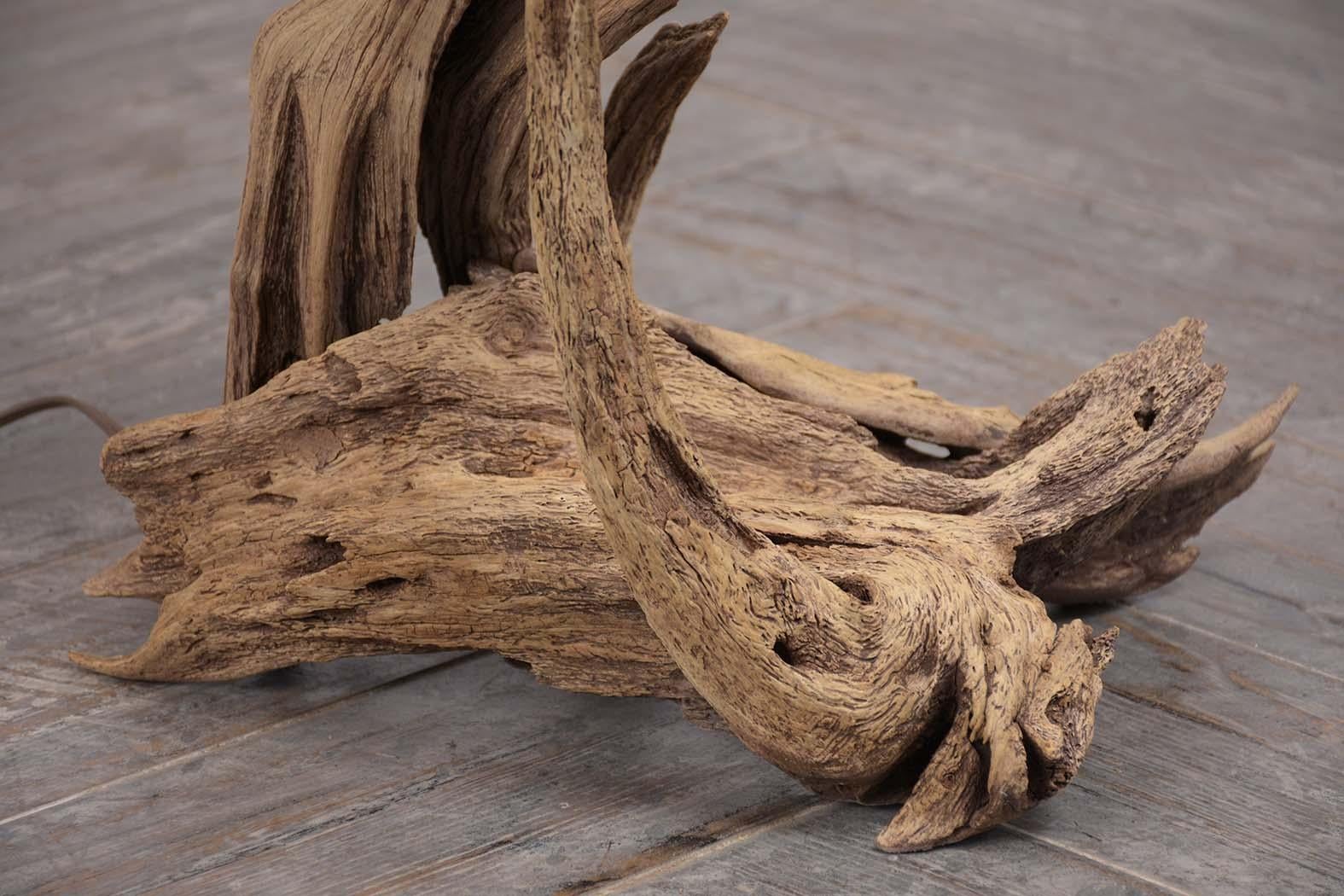 Driftwood Freeform Table Lamp at 1stDibs