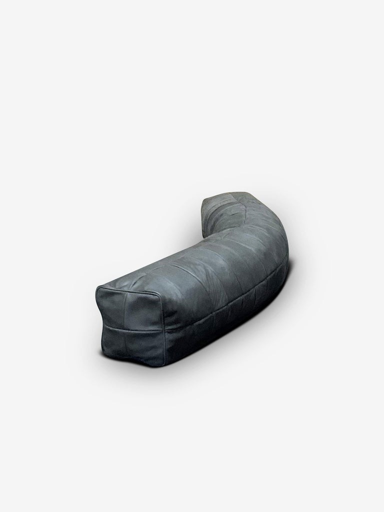 Ds 1088/96 Kissen by De Sede For Sale at 1stDibs