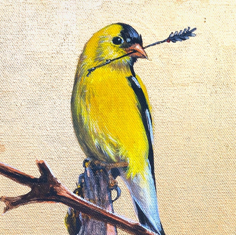 Duke Windsor - Impressionist Bird Painting, "American Goldfinch" For ...