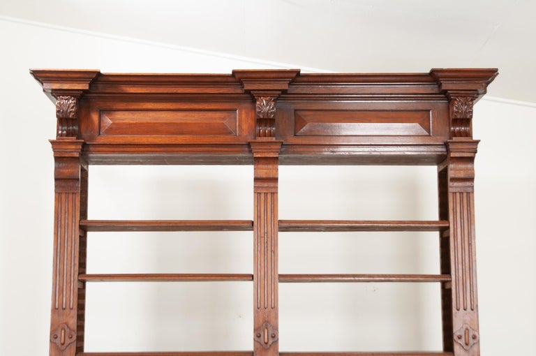 Dutch 19th Century Apothecary Display Case For Sale at 1stDibs