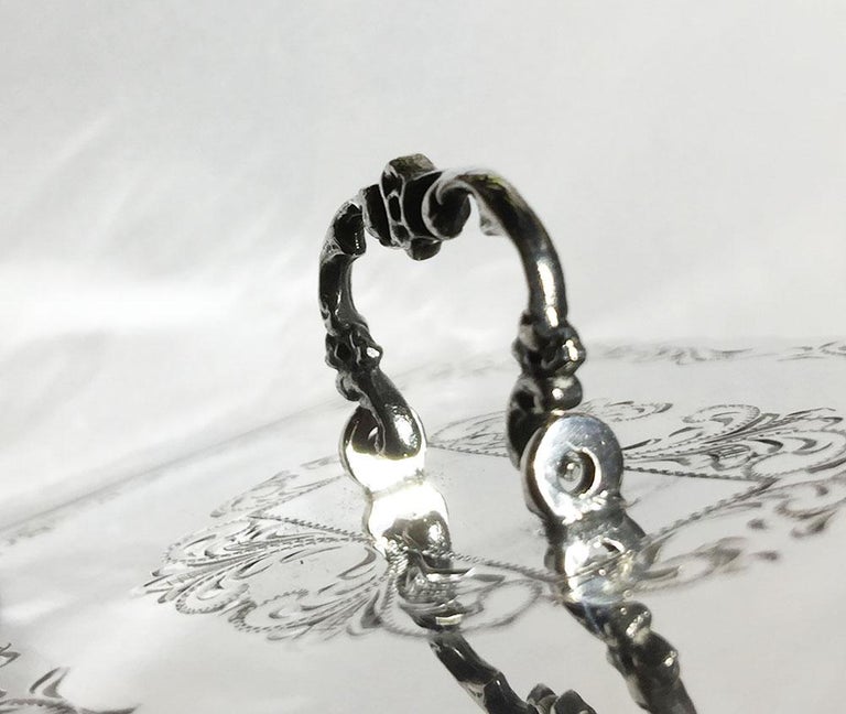 Dutch Silver Spoon Box in Biedermeier Style with Mocca Spoons For Sale ...