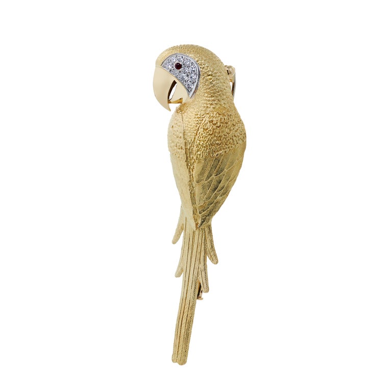 18 Carat Yellow Gold Diamond-Set Parrot Brooch For Sale at 1stDibs