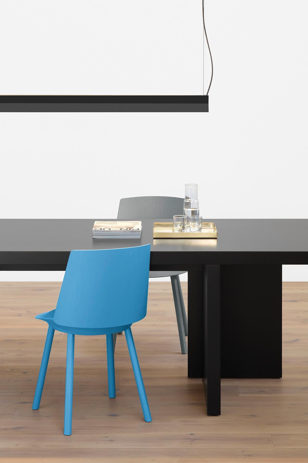 Customizable e15 Span Pendant Light by Michael Raasch For Sale at ...