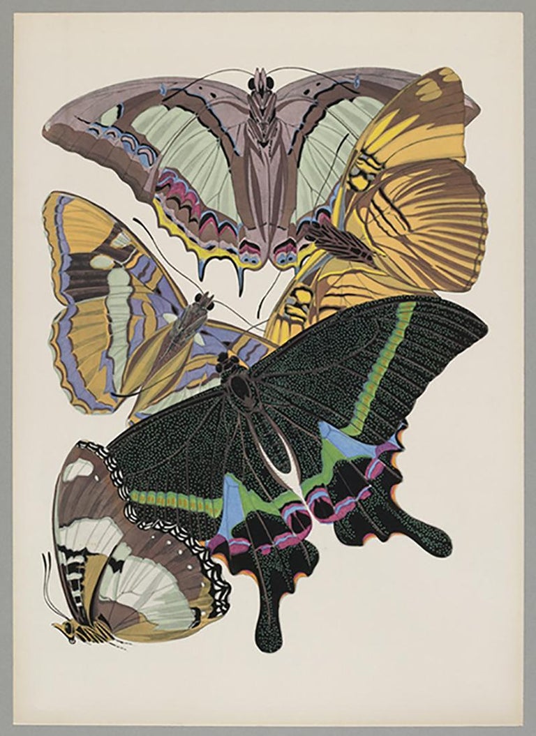 E.A. Seguy - Butterfly Pochoir Prints - 10 For Sale at 1stDibs