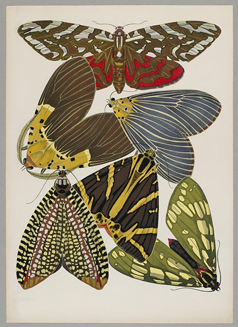 E.A. Seguy - Butterfly Pochoir Prints - 3 For Sale at 1stDibs