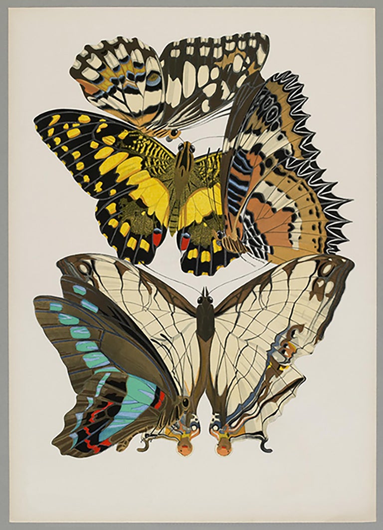 E.A. Seguy - Butterfly Pochoir Prints - 6 For Sale at 1stDibs