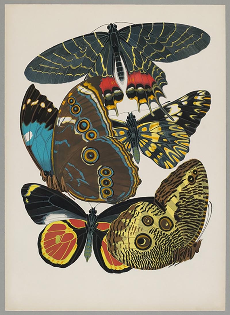E.A. Seguy - Butterfly Pochoir Prints - 5 For Sale at 1stDibs | seguy ...