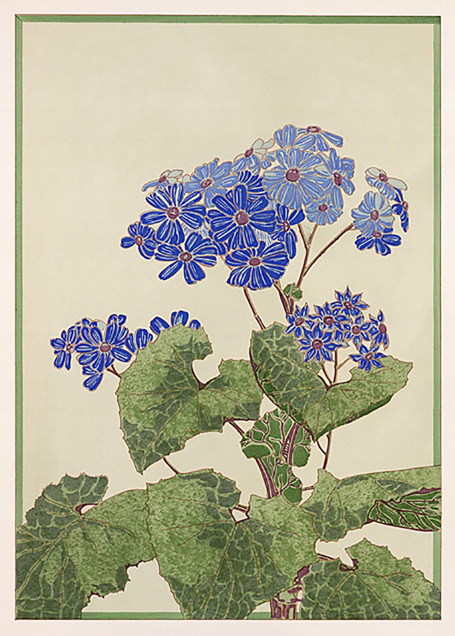 La Plante et Ses Applications and Les Fleurs Et Leurs Applications ...